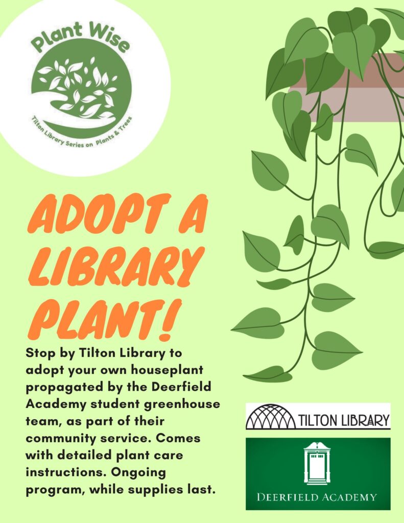 Tilton Library » Adopt a Library Plant